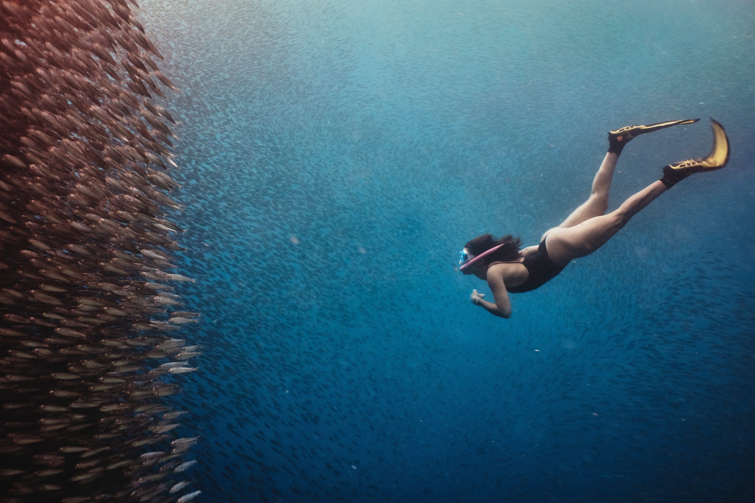Apnoetauchen – Wissenswertes zum Freediving | Tauchbuddies